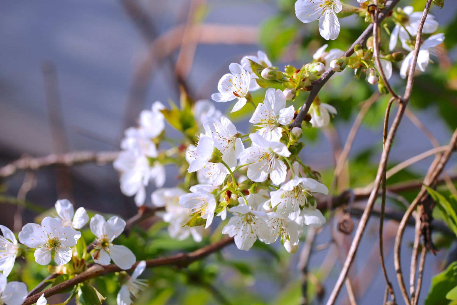 Naučit se chtít víc – Jájsem.com