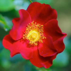 HOVORY ZE ZEMĚ – Proč nám lžou a jak jsem si na to přišel (1. část ...