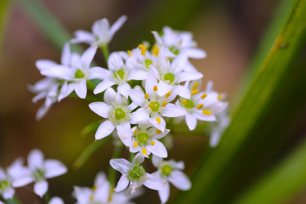 SNAHA NĚCO NEBO NĚKOHO OVLÁDAT – Jájsem.com