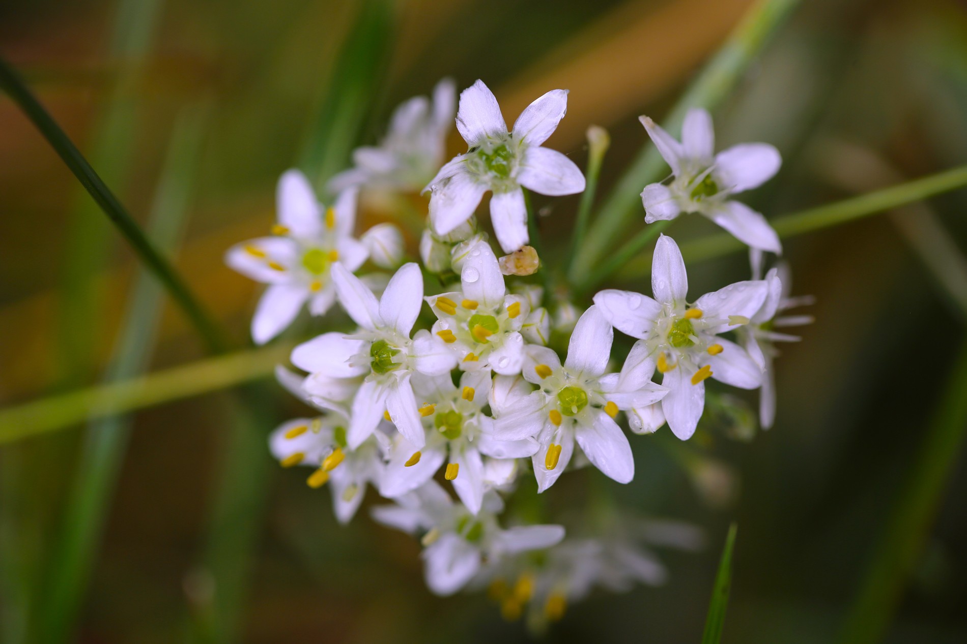 BÝT SÁM SEBOU – Jájsem.com