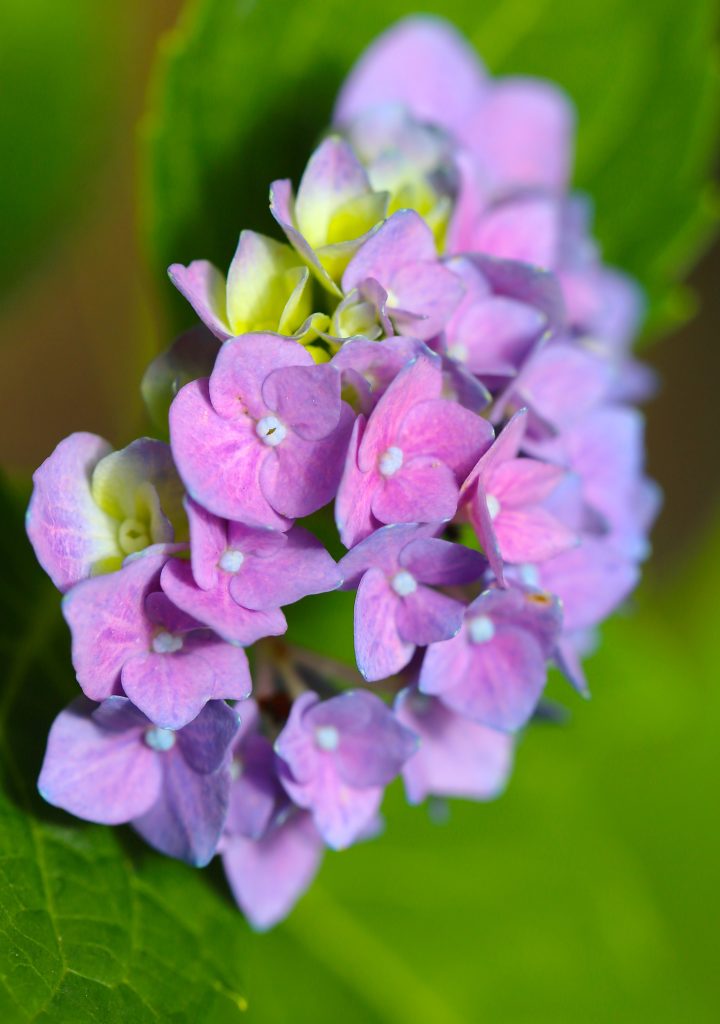 BÝT SÁM SEBOU – Jájsem.com