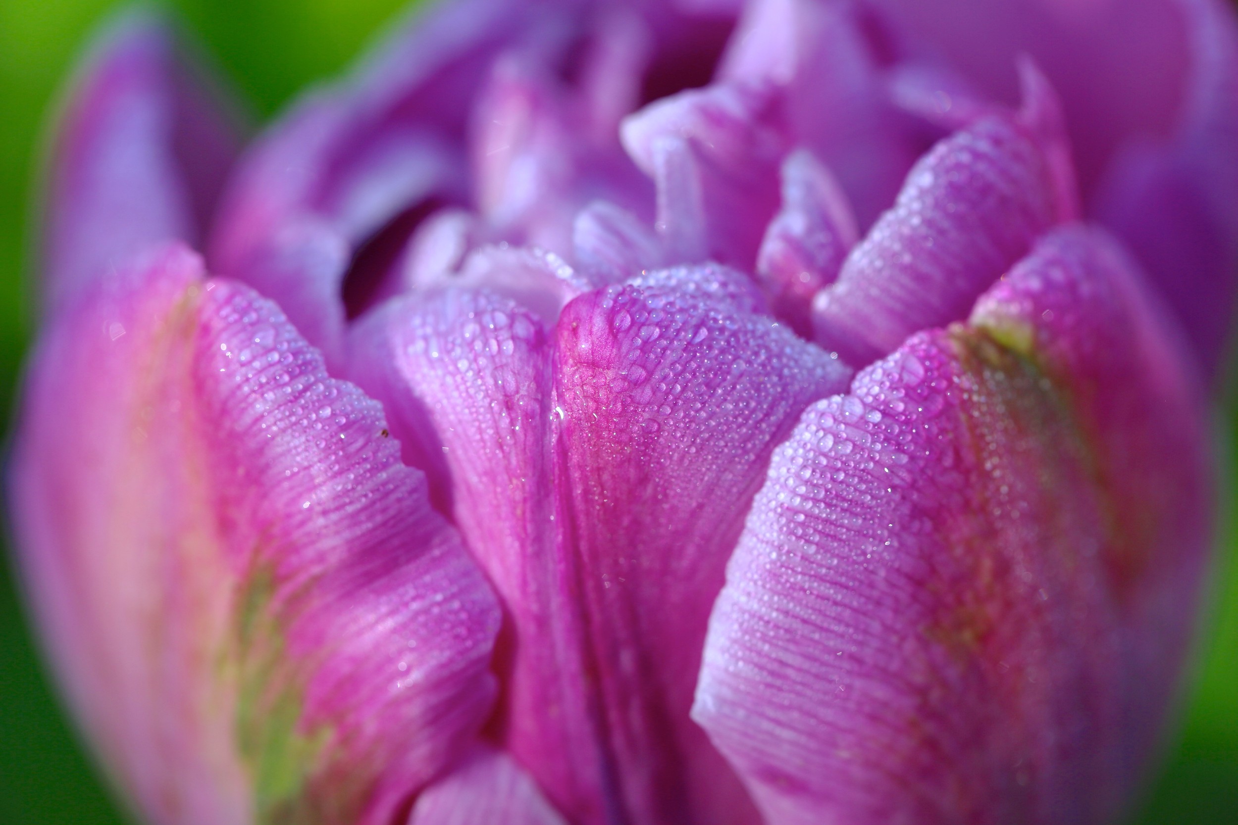HOVORY ZE ZEMĚ – Proč nám lžou a jak jsem si na to přišel (1. část ...
