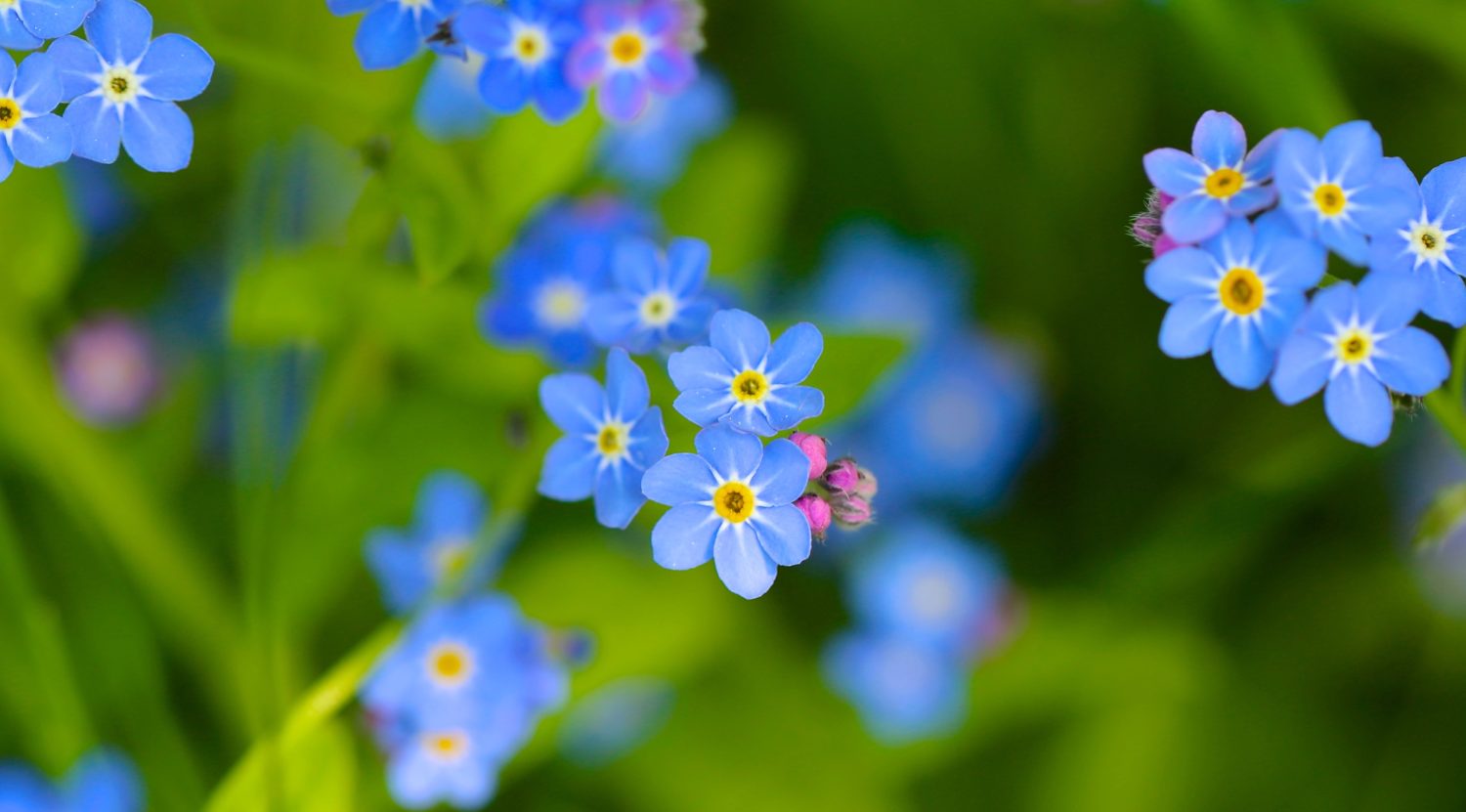HOVORY ZE ZEMĚ – Proč nám lžou a jak jsem si na to přišel (1. část ...